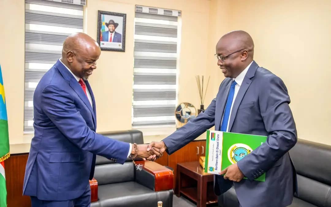 Northern Bahr el Ghazal governor seeks national support on agriculture ...
