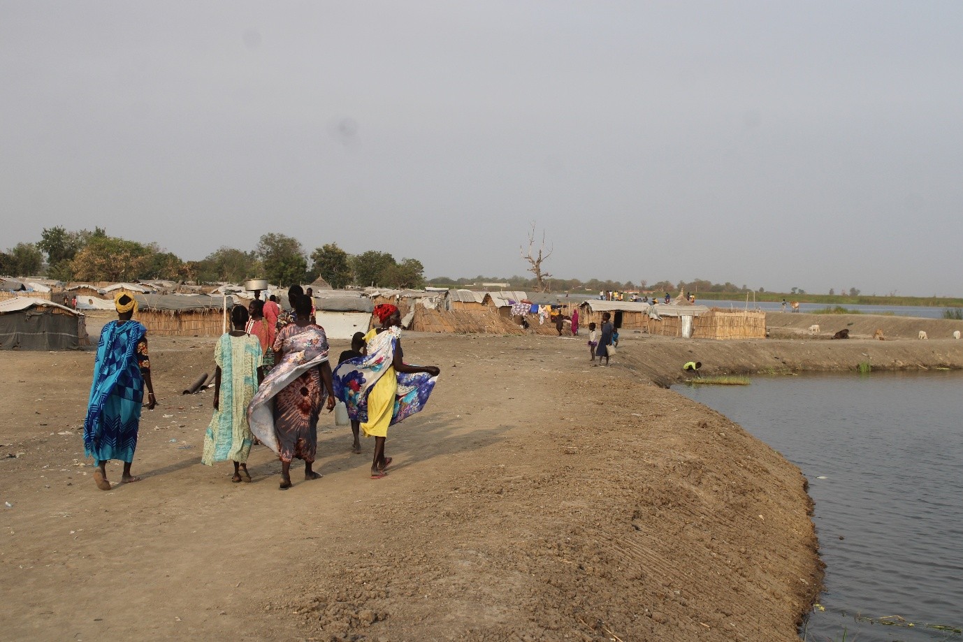 Unity State residents reclaim submerged land after successful dyke ...