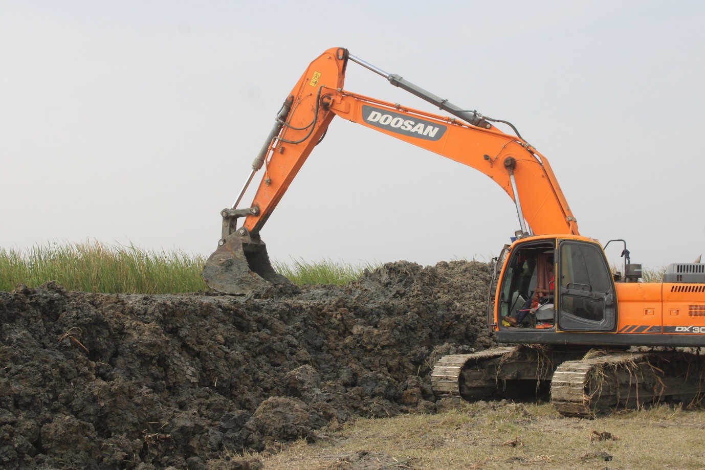 Unity State residents reclaim submerged land after successful dyke ...